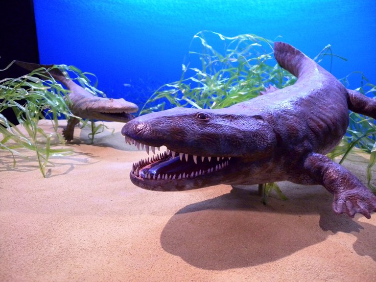 ichthyostega_1024.jpg — Landesbildungsserver Baden-Württemberg